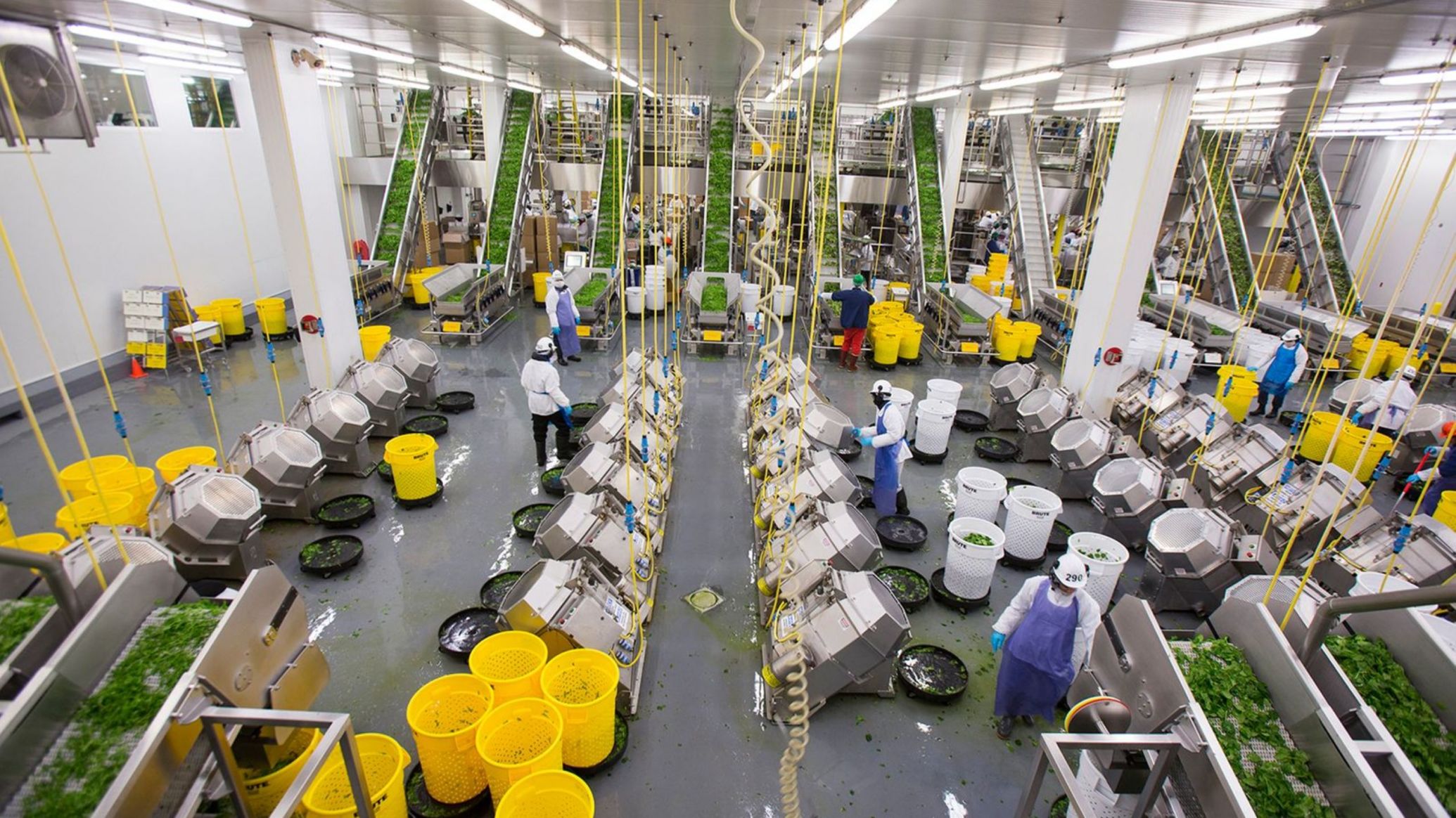 State Garden: People, Planet, Produce