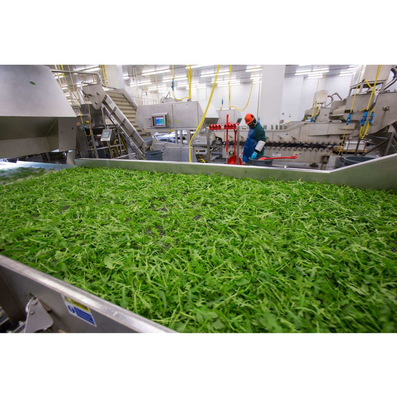 State Garden: People, Planet, Produce